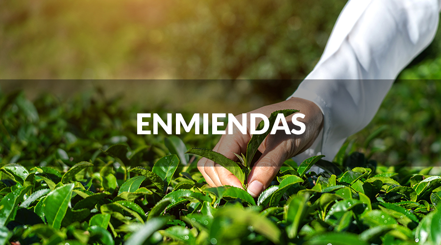 Productos – Sollem