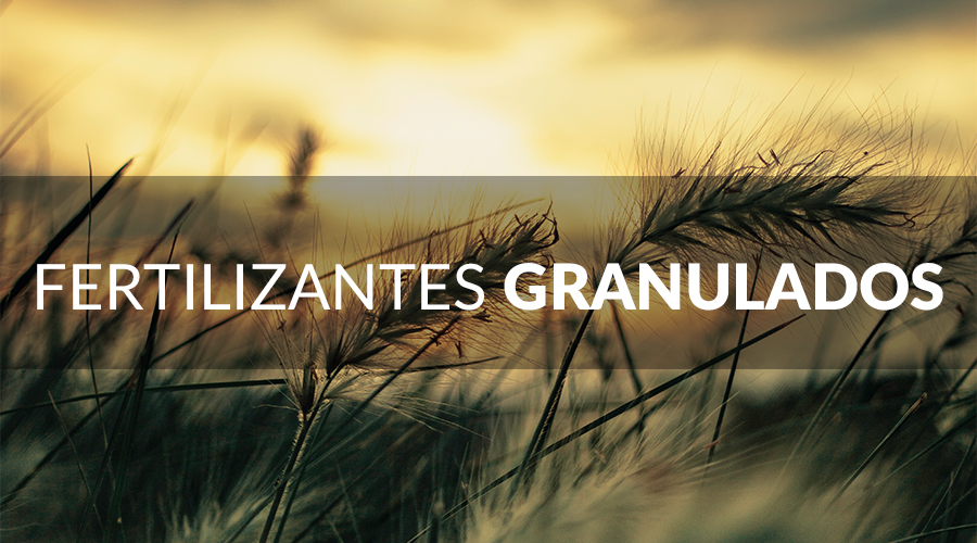 Productos – Sollem